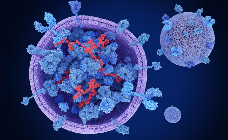 Cosmetic ingredient supplier | Mibelle Biochemistry